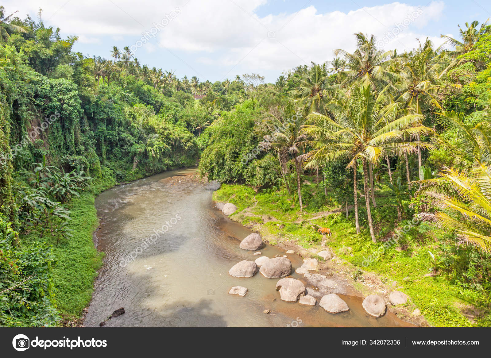A River in Central Bali — Stock Photo © zambezi #342072306
