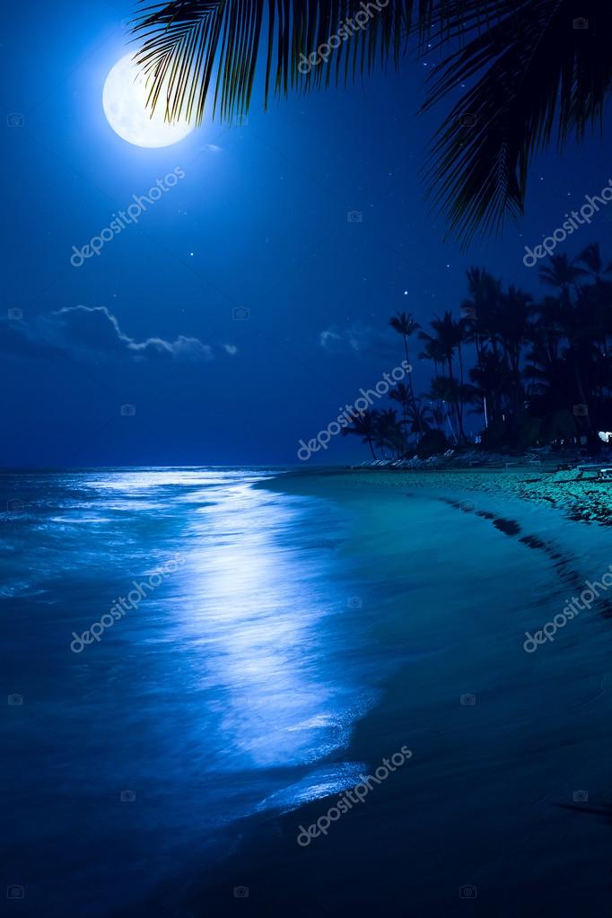 Art Moonlight tropical sea beach night; vacation at the Palms Re ...