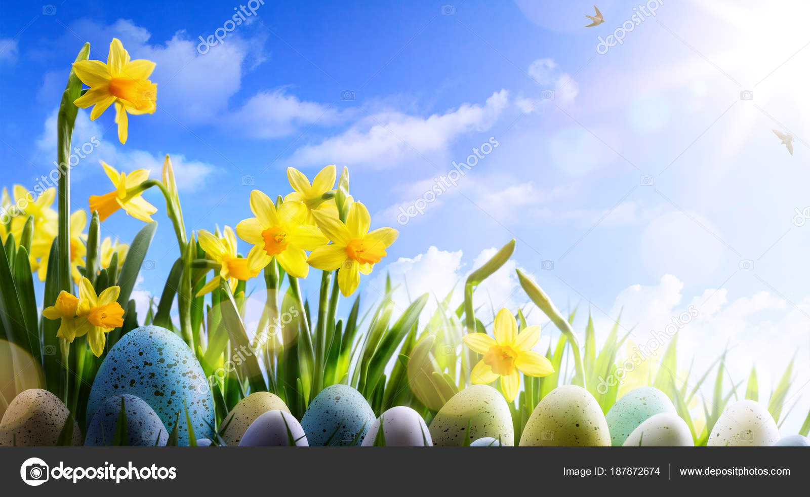 Art Easter background; Spring flowers and easter eggs Stock Photo by ...