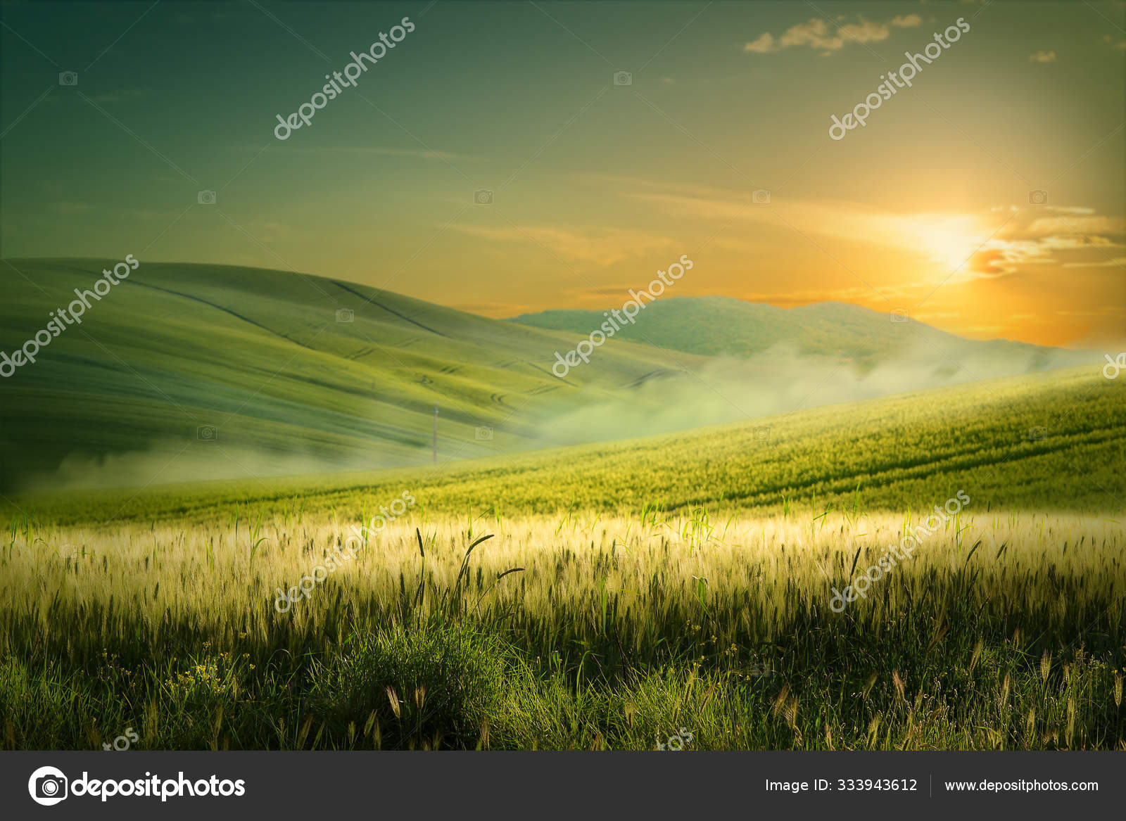 Beautiful Nature Countryside Landscape Spring Flowering Field Sunrise ...