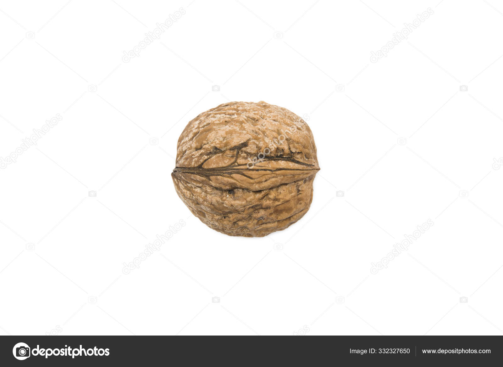 Single Walnut Isolated White Background Stock Photo by ©boggy22 332327650