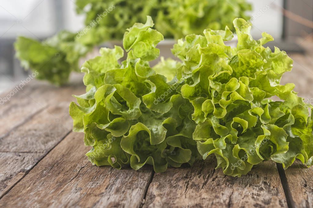 Green lettuce leaves. Lettuce leaves on wooden background. Fresh ...