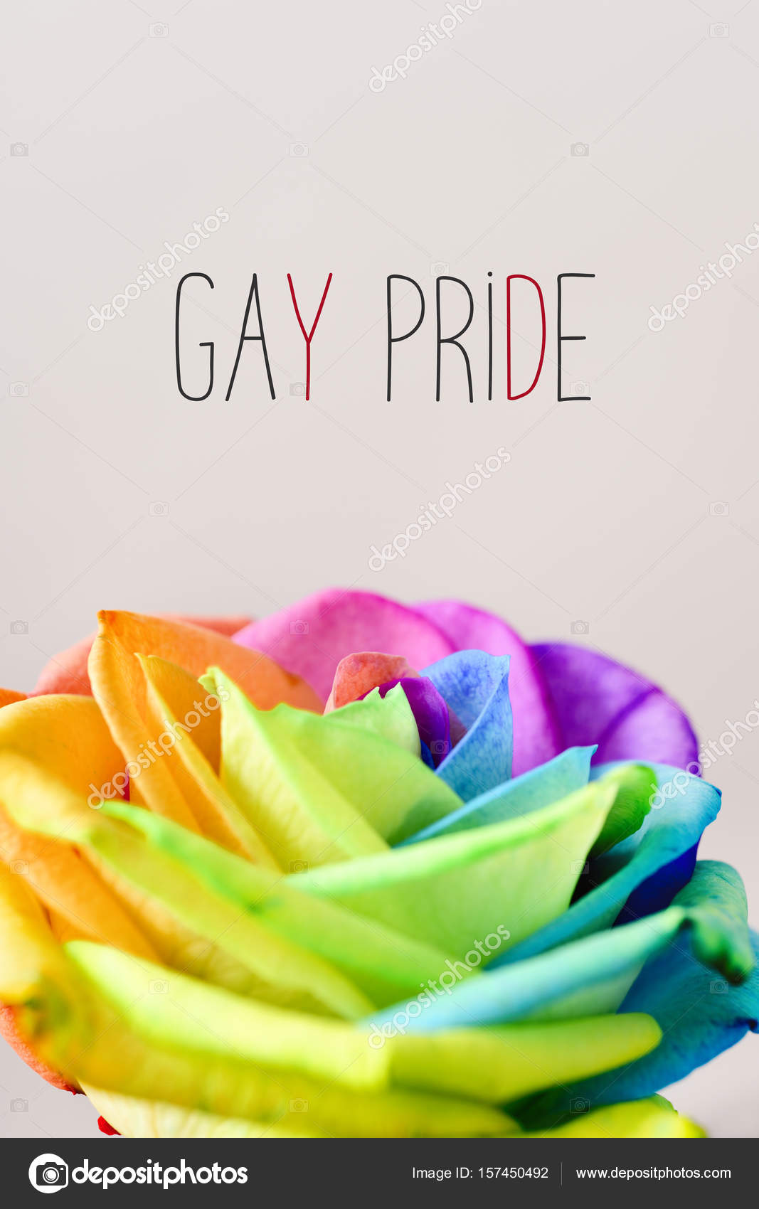 Rainbow rose and text gay pride Stock Photo by ©nito103 157450492