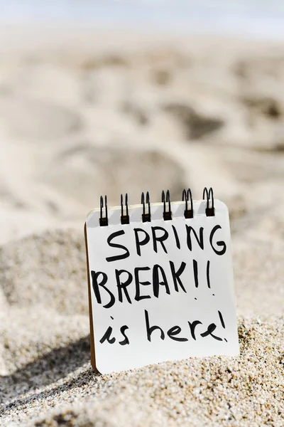 Spring break Stock Photos, Royalty Free Spring break Images | Depositphotos