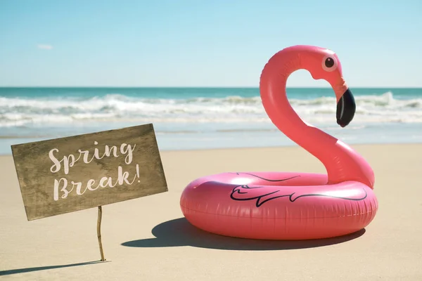 Spring break Stock Photos, Royalty Free Spring break Images | Depositphotos