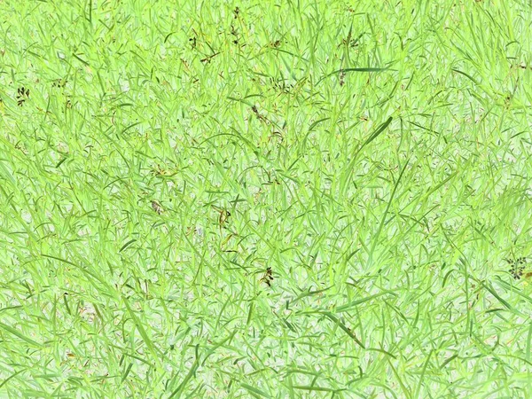 Pencil drawing of grass Stock Photos, Royalty Free Pencil drawing of ...