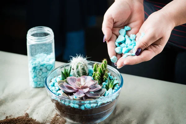 ᐈ Florarium stock photos, Royalty Free florarium images | download on ...