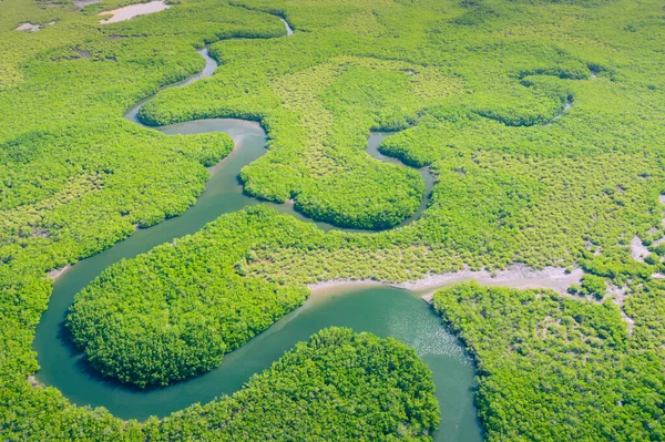 Vista aérea de la selva amazónica en Brasil, América del Sur. Bosque ...