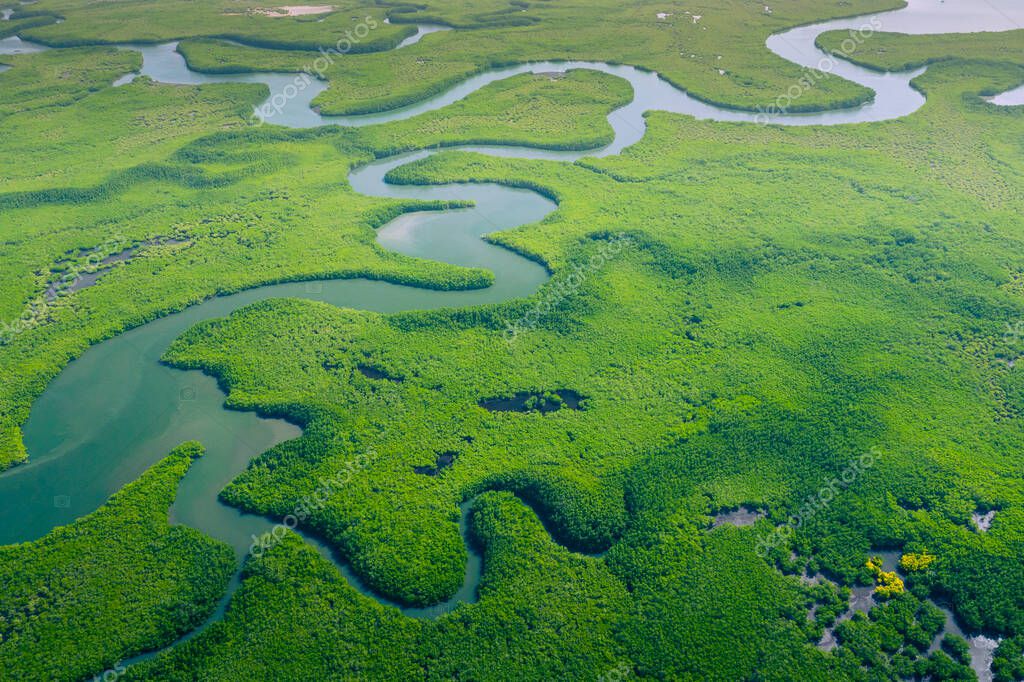 Vista a rea de la selva amaz nica en Brasil, Am rica del Sur. Bosque ...