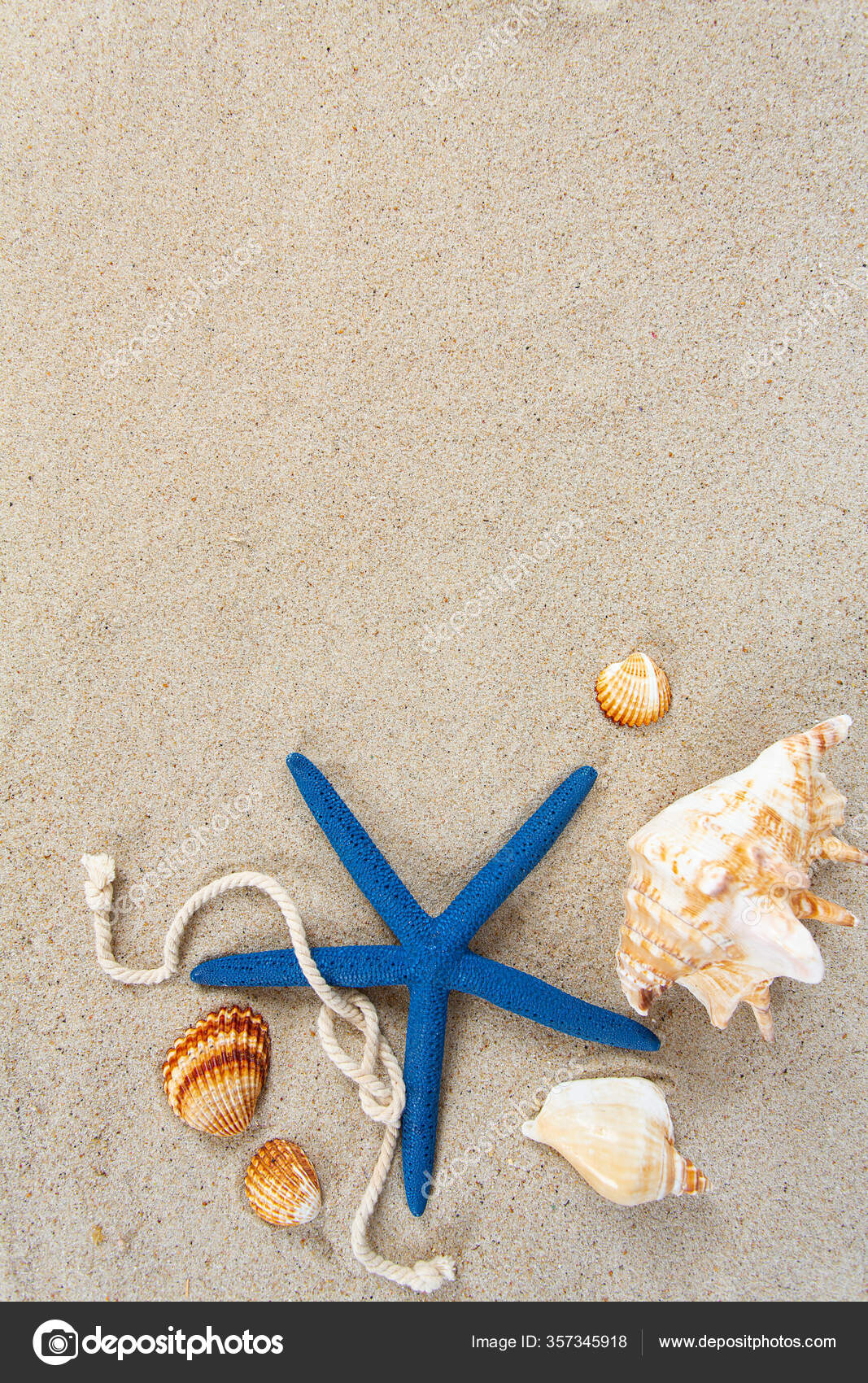 Colorful Seashells On The Sand