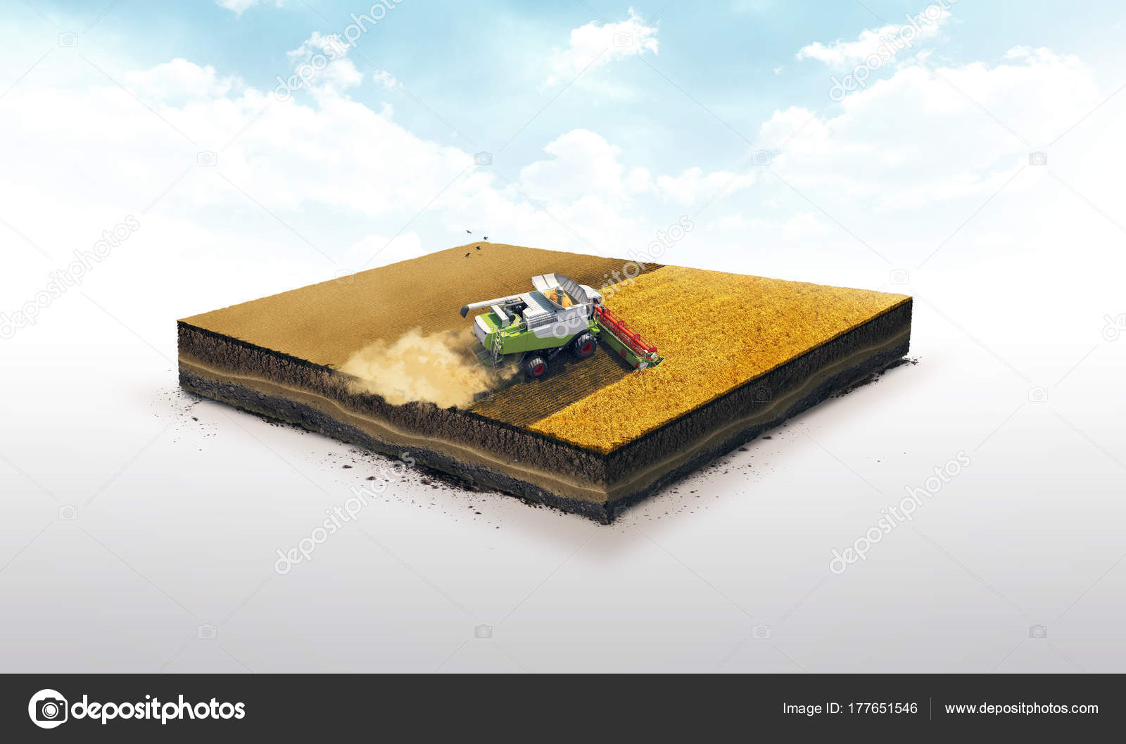 Illustration Soil Slice Combine Wheat Harvesting Wheat Field Isolated ...