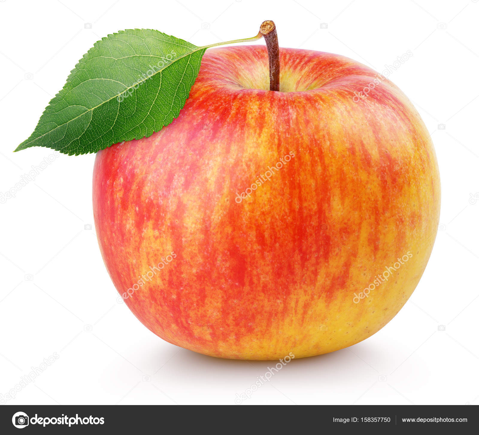 Single Fruit Apple