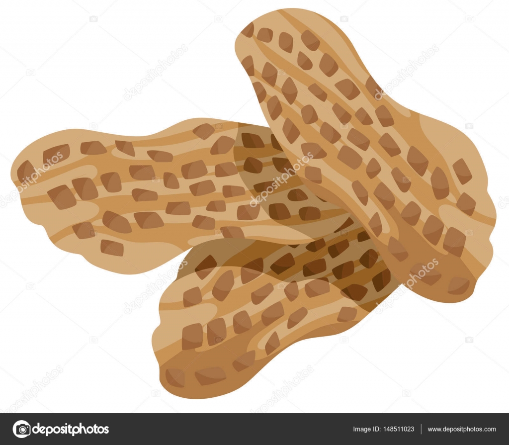 Cacahuetes alimento objeto ilustración Vector de stock #148511023 de ...