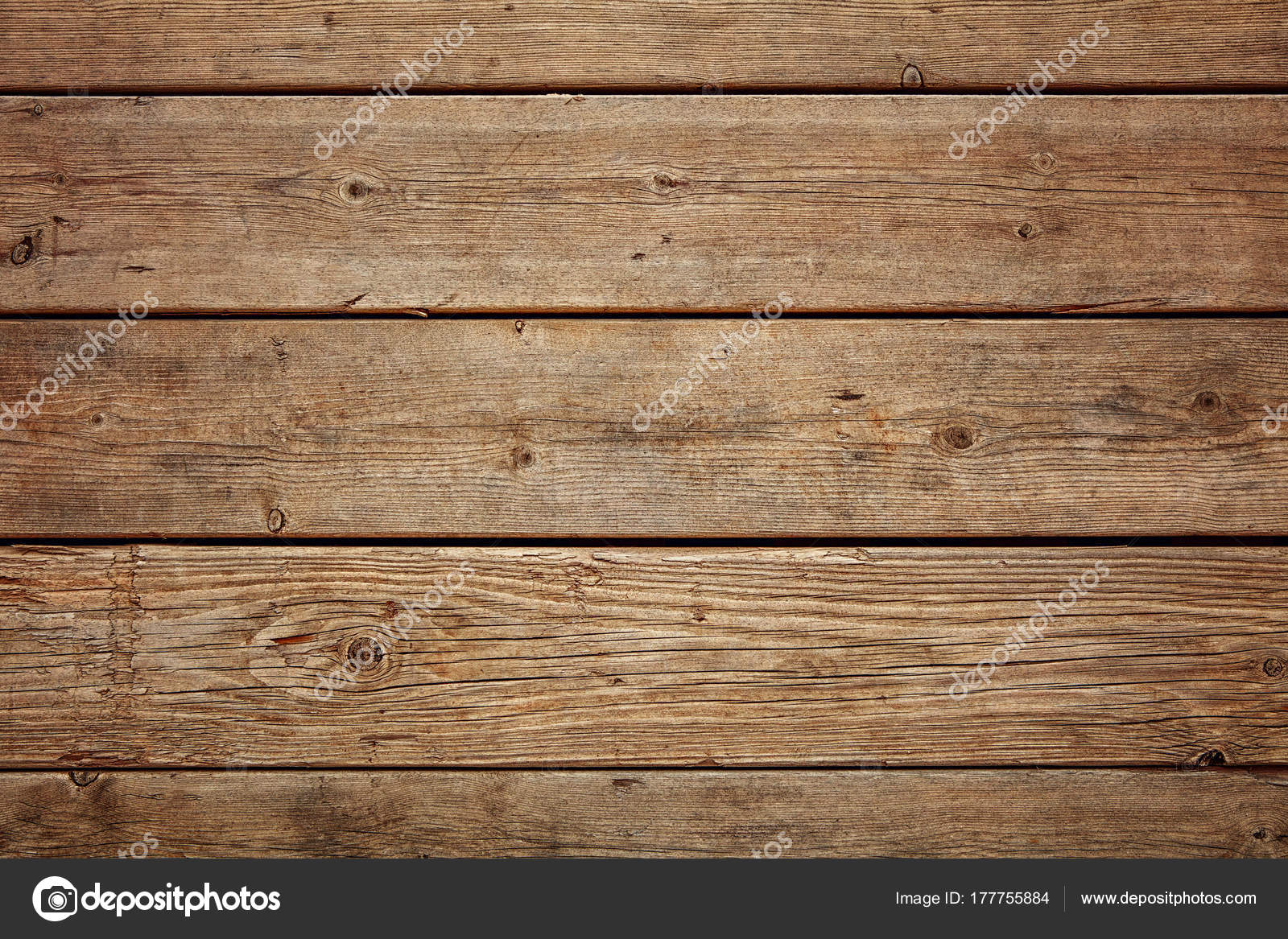 Board Natural Tree Stock Photo by ©alonari 177755884
