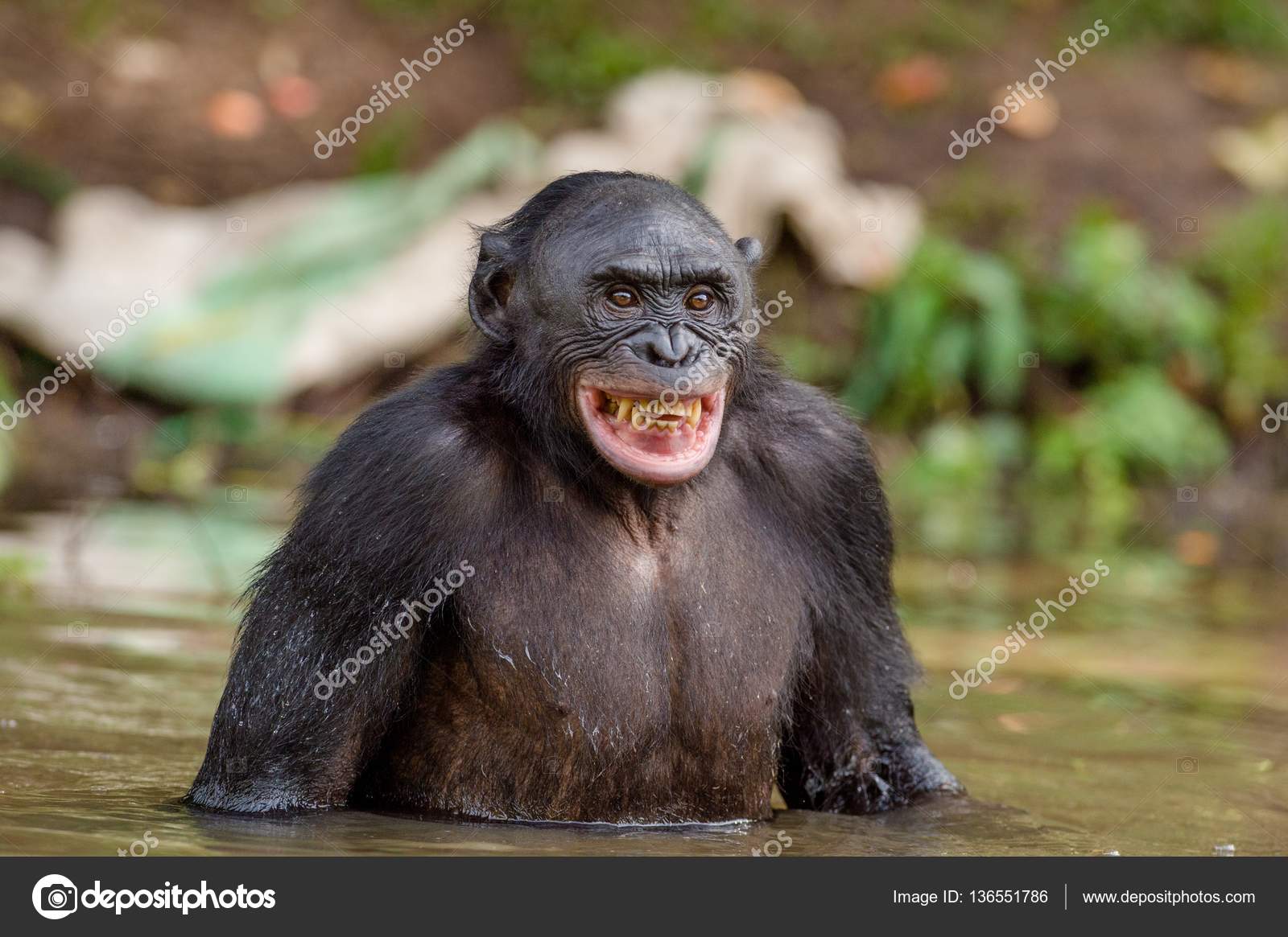 Djokovic is wearing the symbol of Aztecs ! | Talk Tennis