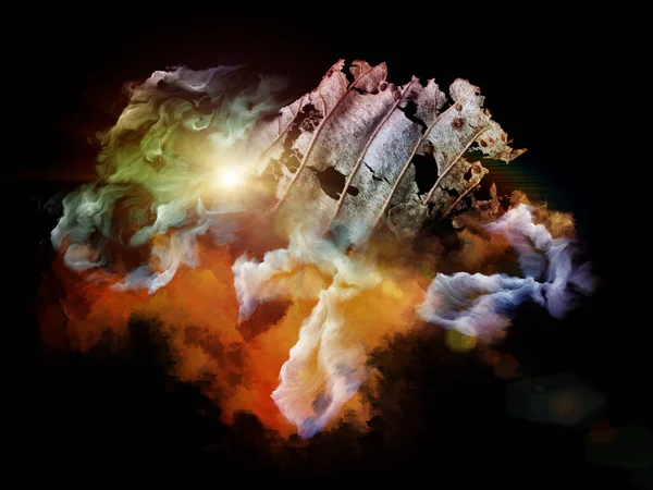 Uncertain Reality. Organic Number series. Composition of distorted ...