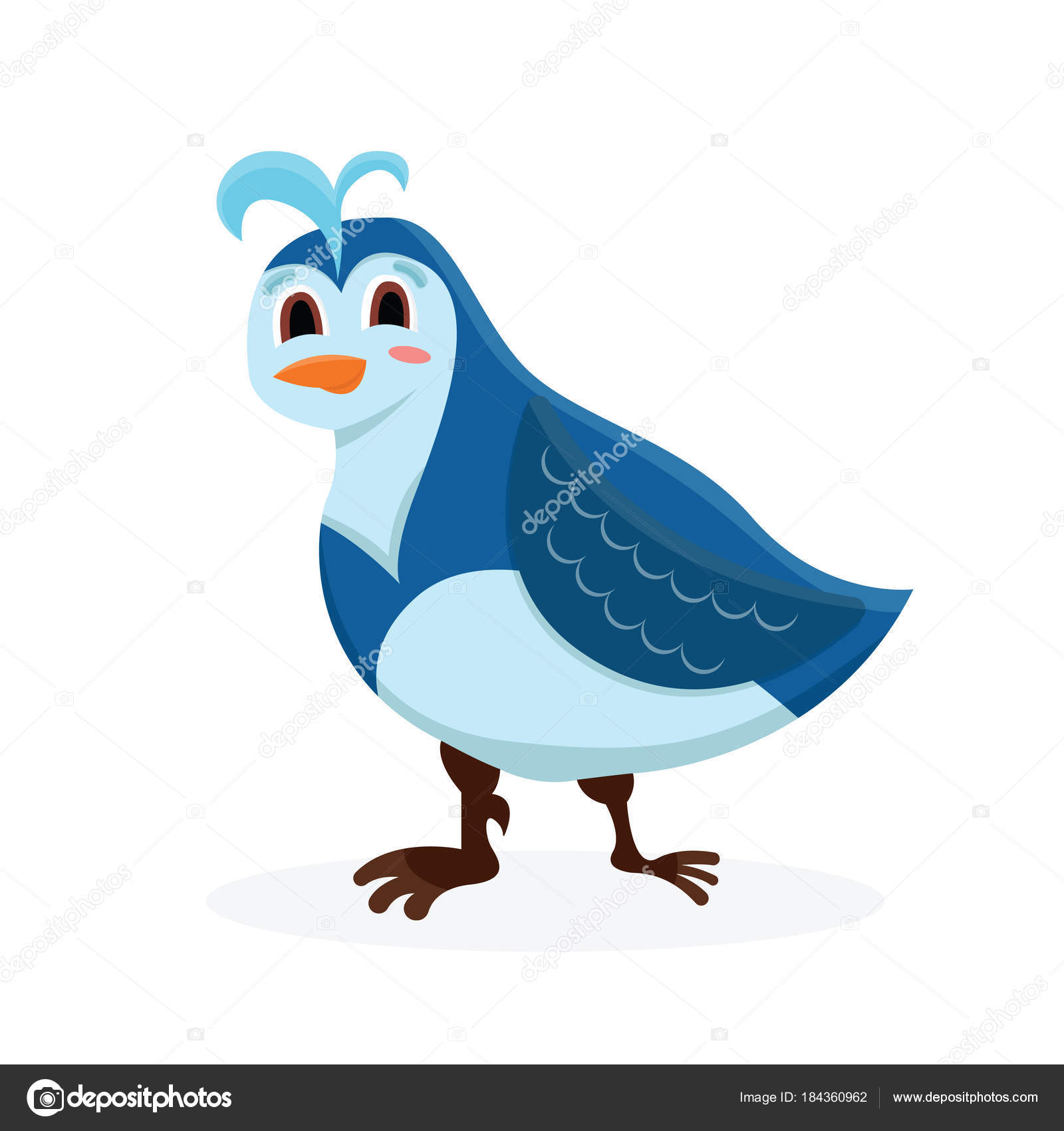 Cartoon Quail