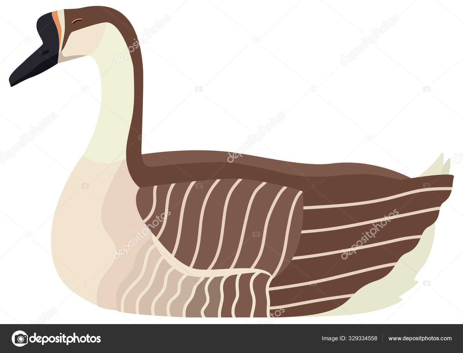 Farming today Vector illustration of a sitting African goose Iso Stock ...
