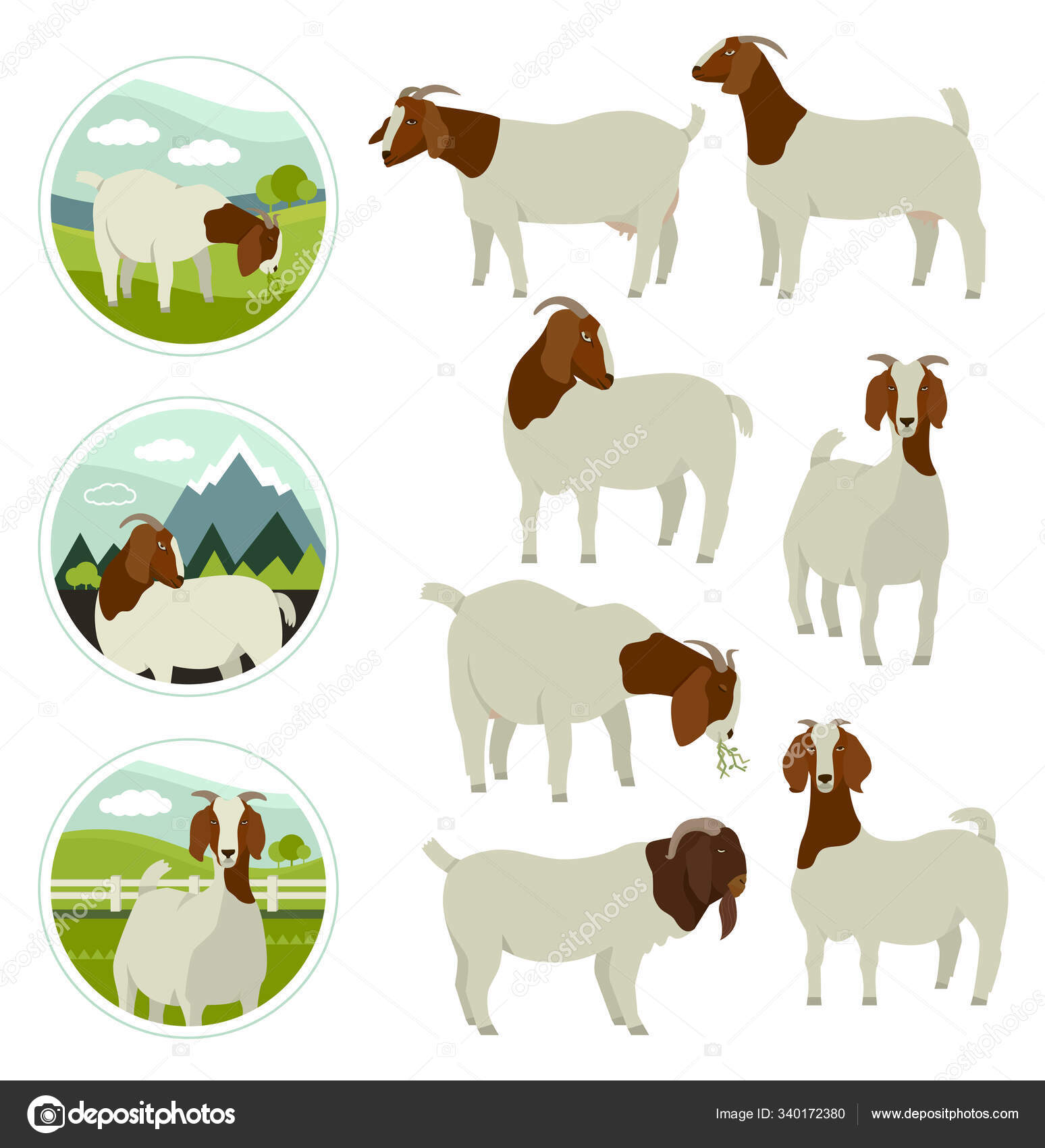 Boer Goat Vector