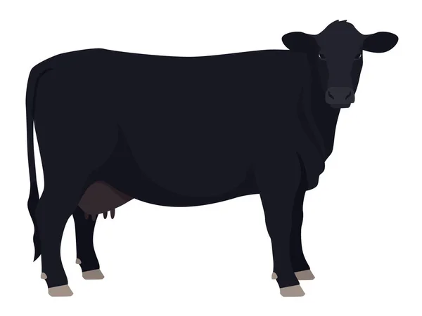 100,000 Angus bull Vector Images | Depositphotos