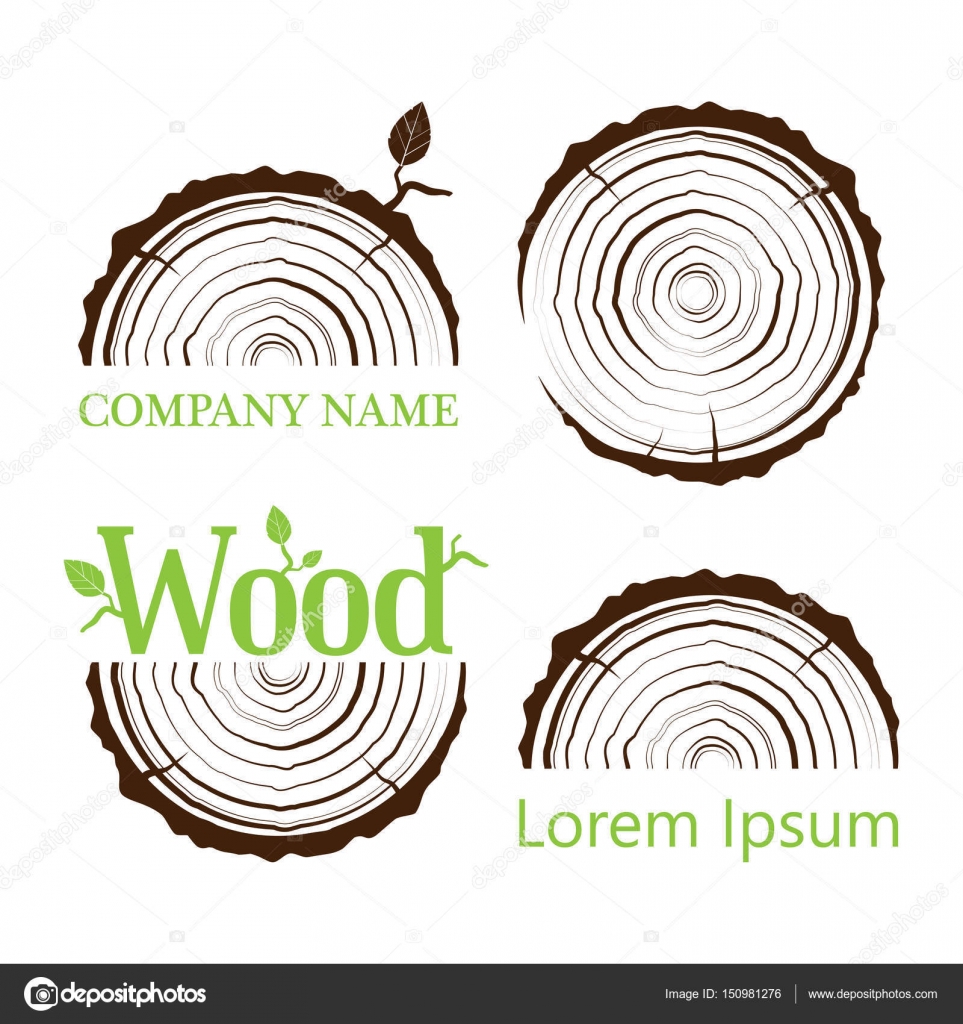 Dwarsdoorsnede Van Een Boom