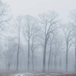 Fae Stock Photos, Royalty Free Fae Images | Depositphotos