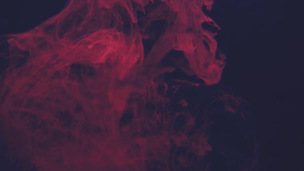 41,300 물 속에서의 잉크 Videos, Royalty-free Stock 물 속에서의 잉크 Footage ...