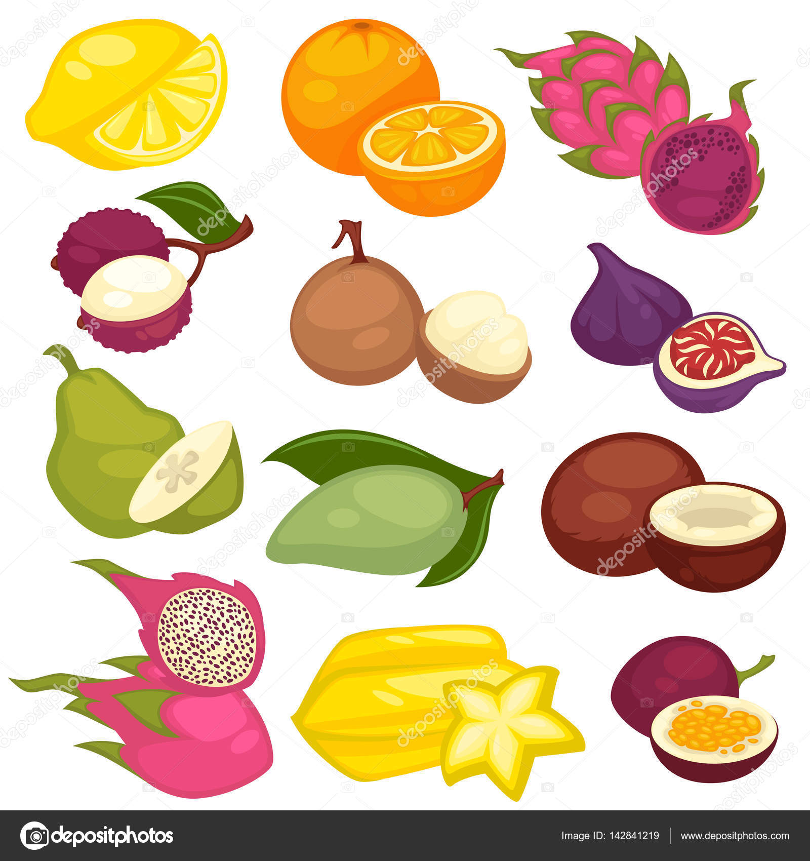 Tropical fruits set Stock Vector by ©Sonulkaster #142841219