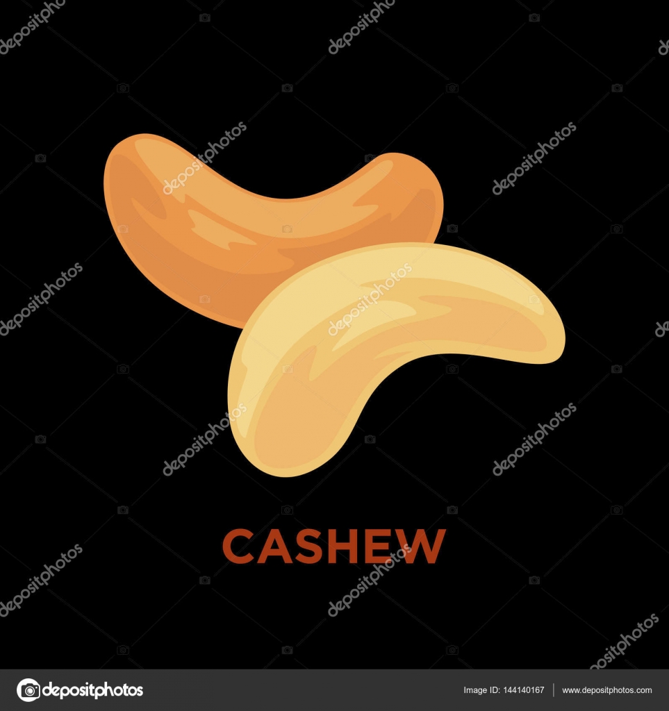 Cashew Vector