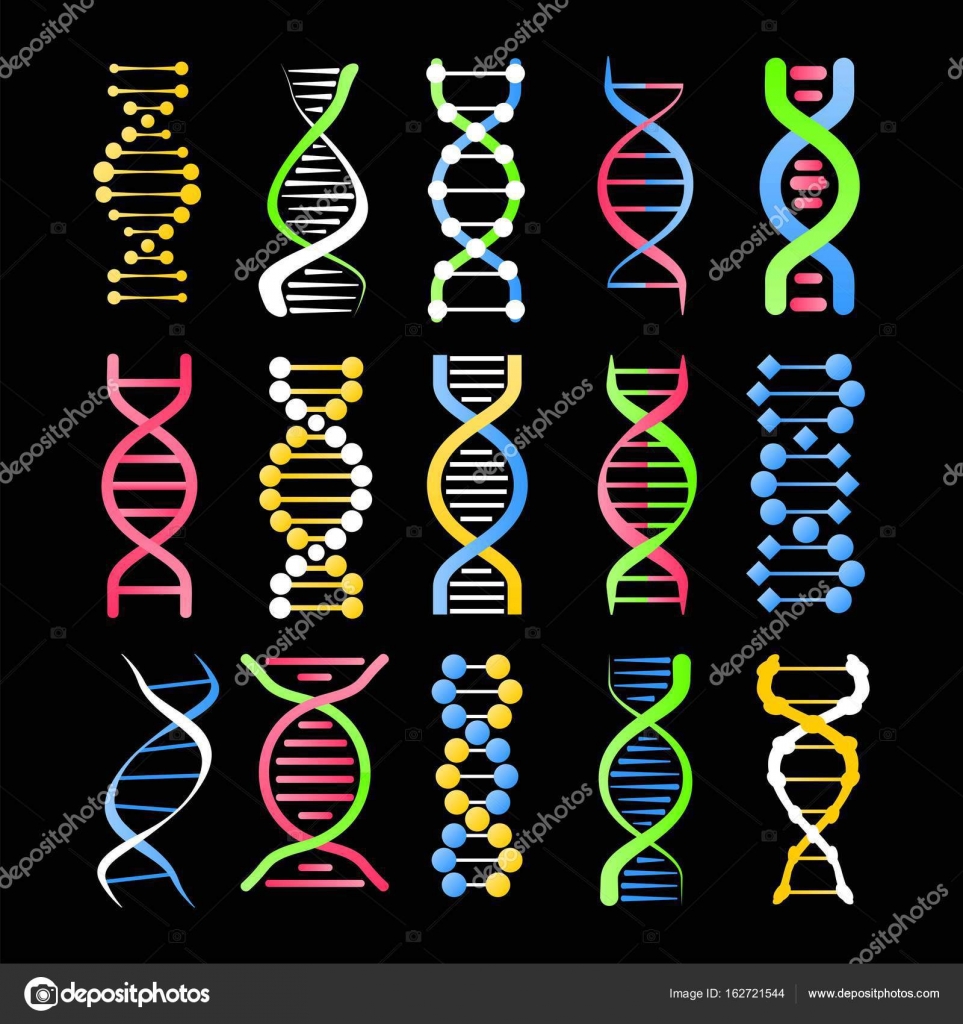 DNA helix symbol set Stock Vector Image by ©Sonulkaster #162721544