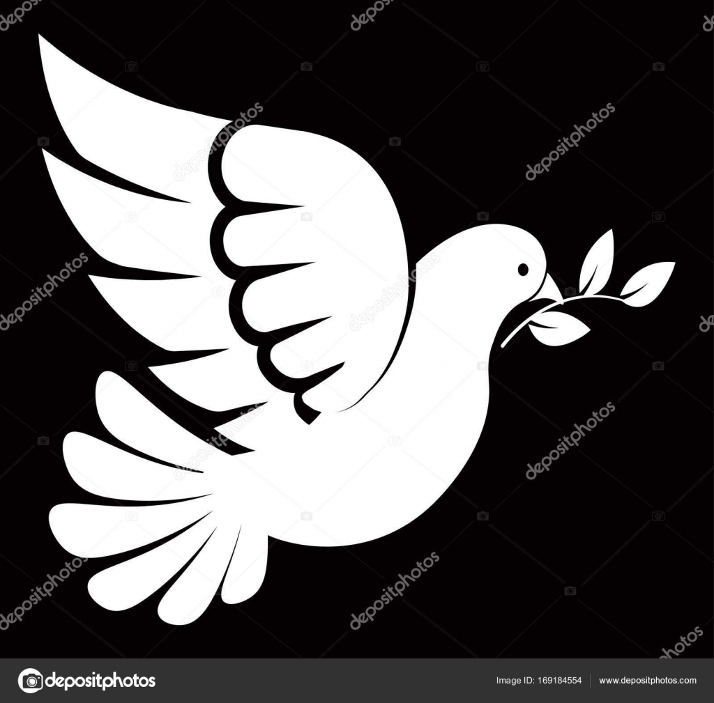 Simple white pigeon bird Stock Vector by ©Sonulkaster 169184554