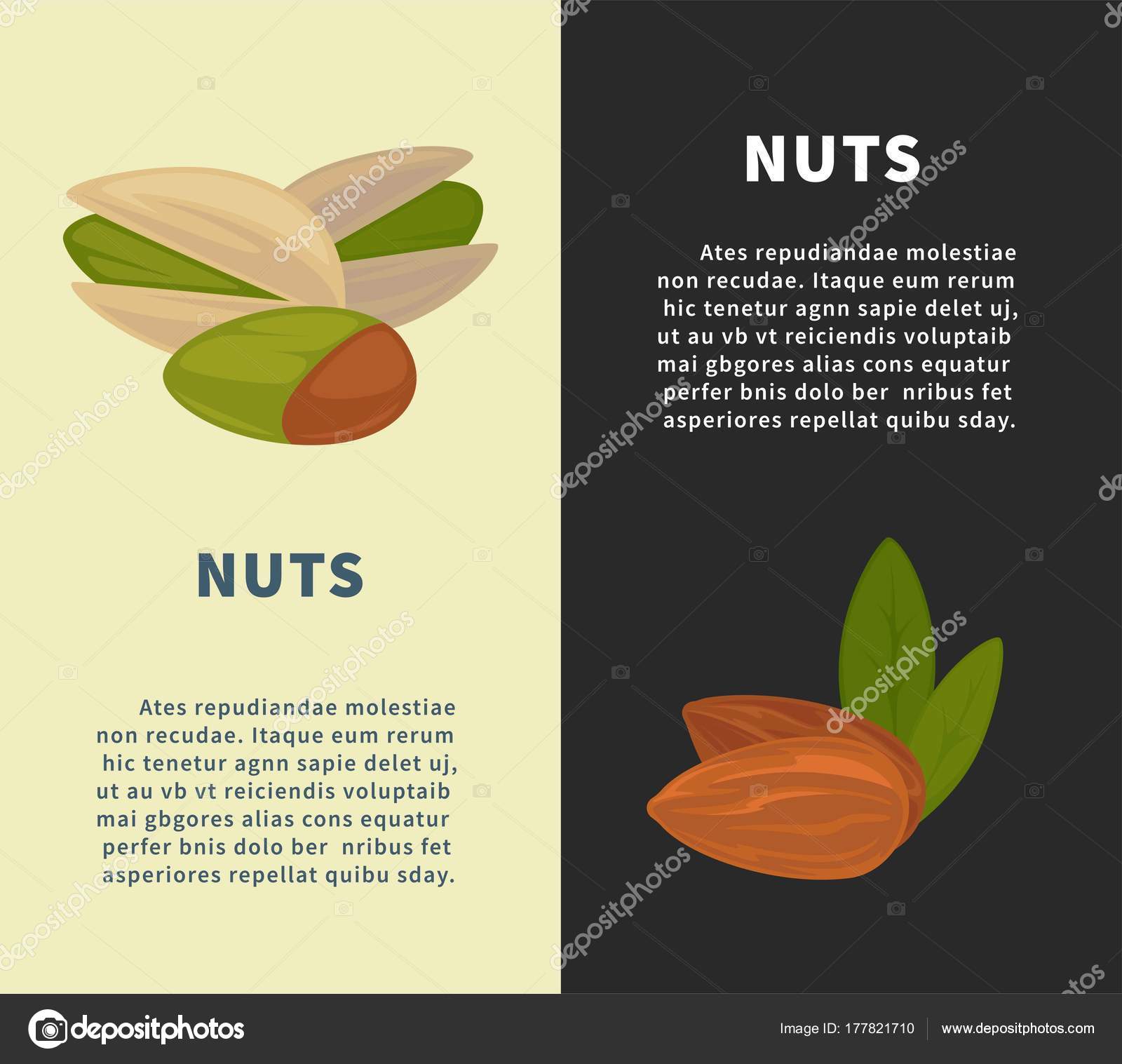 Nuts Full Healthy Fats Promotional Vertical Posters Almonds Leaves ...