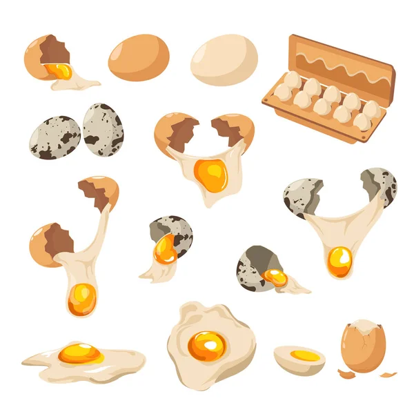 Vector Set Cartoon Egg Illustrations Stock Vector Image By ©nikiteev