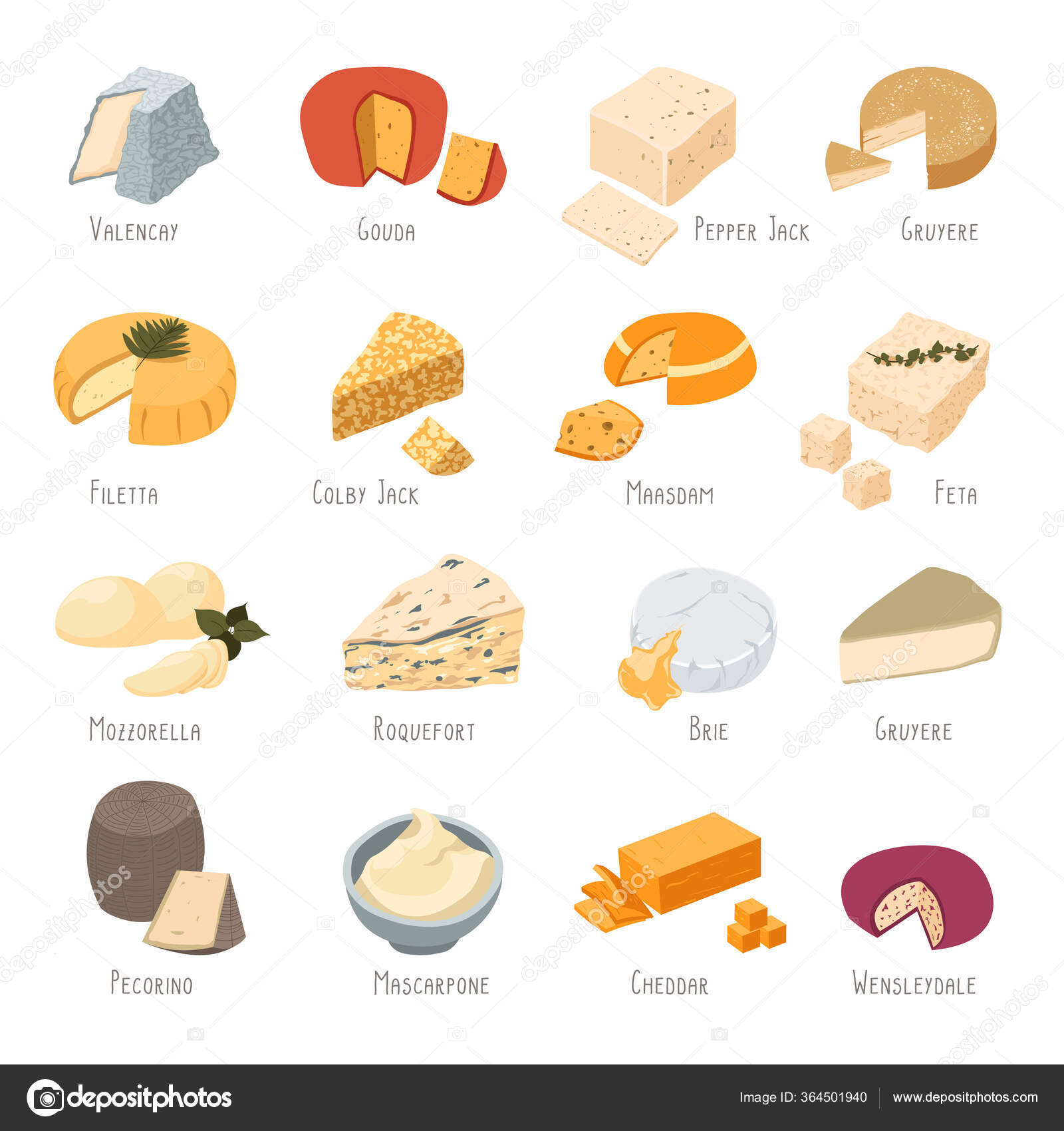 Set Cheese Types Names Isolated Dairy Products Valencay Gouda Filetta Stock Vector Image By