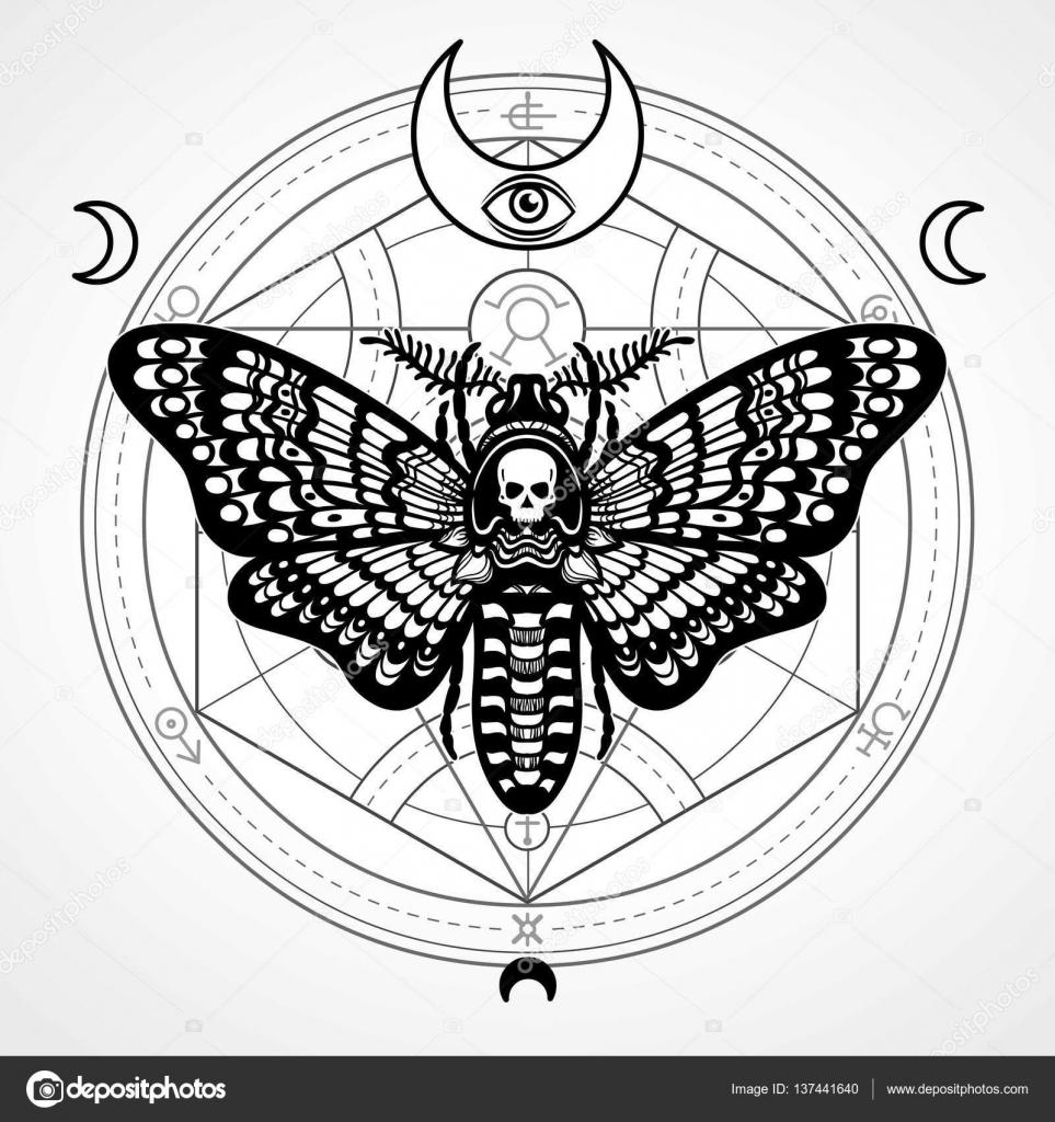 Skull Moth Tattoo Design Sketch Coloring Page