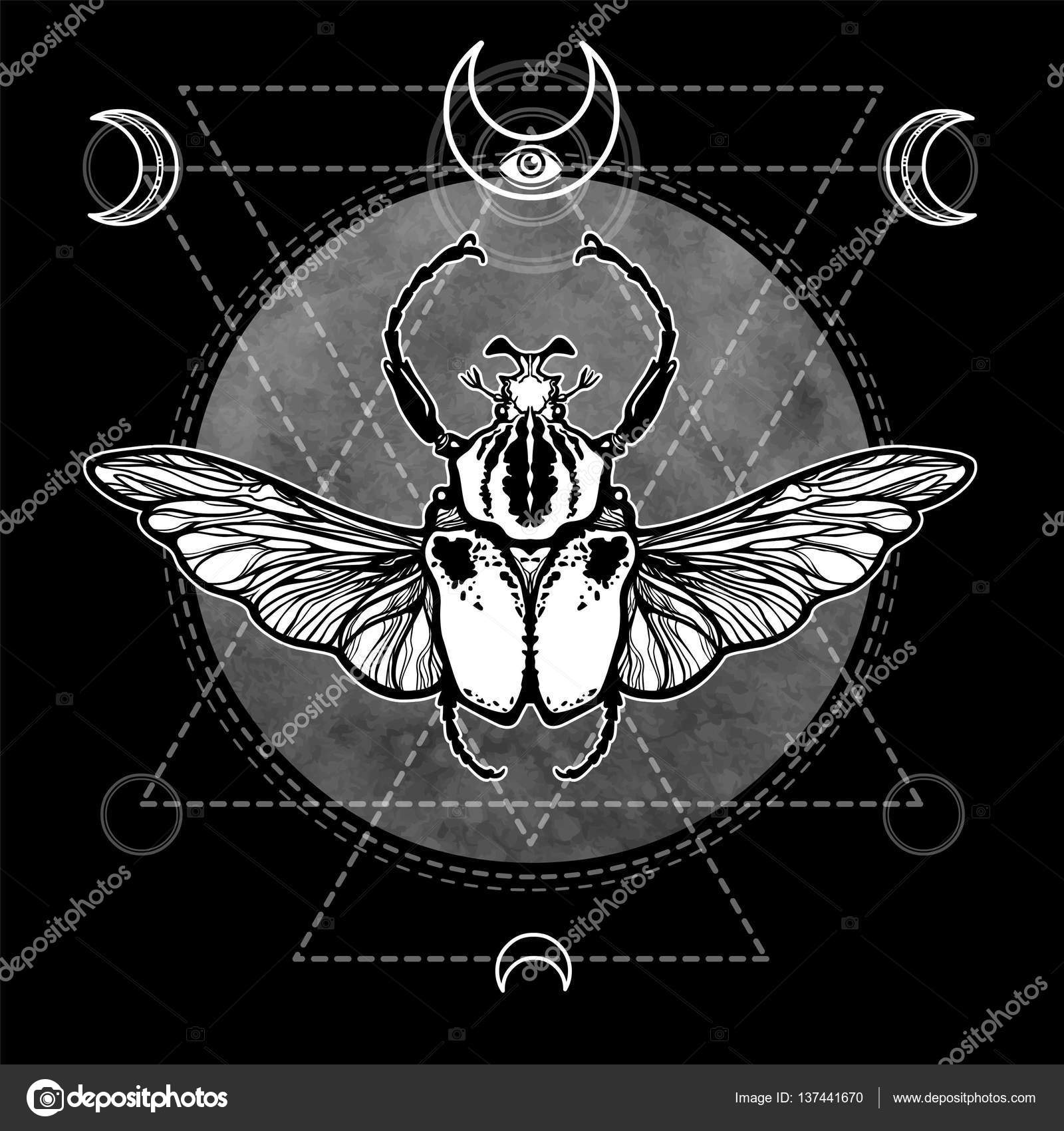 Bug Goliath. Esoteric symbol, sacred geometry. Sign of the moon ...