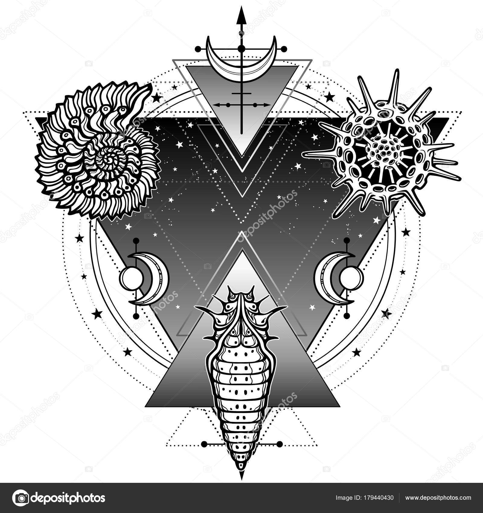 Mystical Symbols Origin Life Shell Radiolaria Larva Sacred Geometry ...