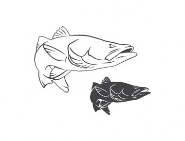 Common Snook Coloring Pages