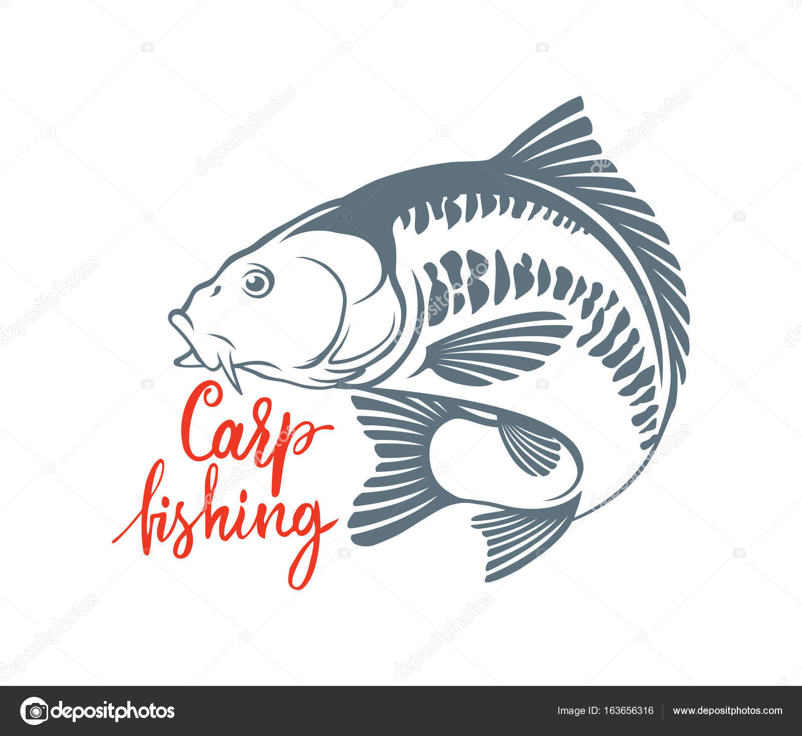 Carp fish icon Stock Vector by ©kvasay 163656316