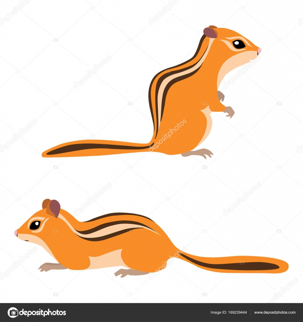 Two cute cartoon chipmunks Stock Vector by ©SlyBrowney 169239444