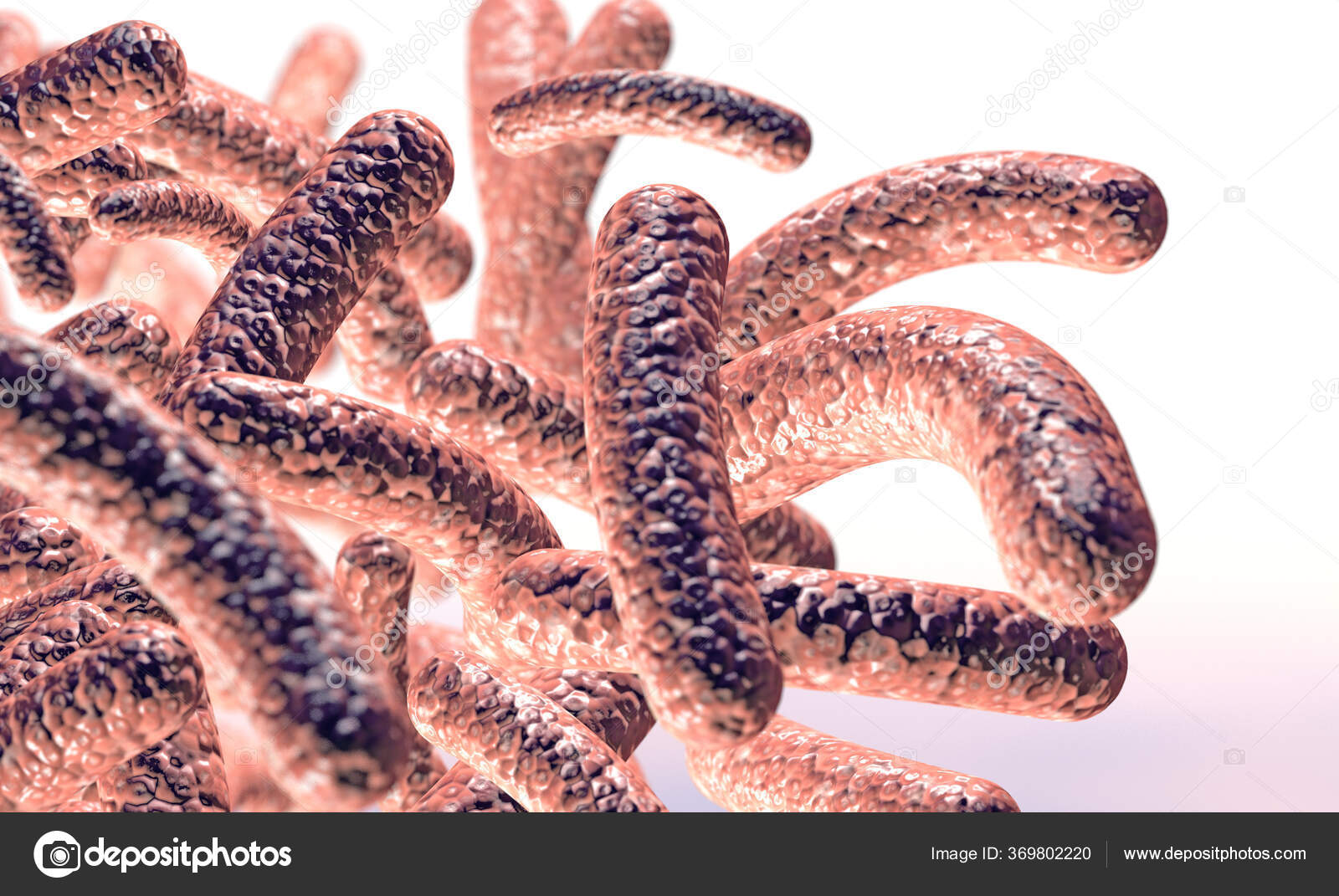 Microbacteria Bacterial Organisms Biology Science Background ...