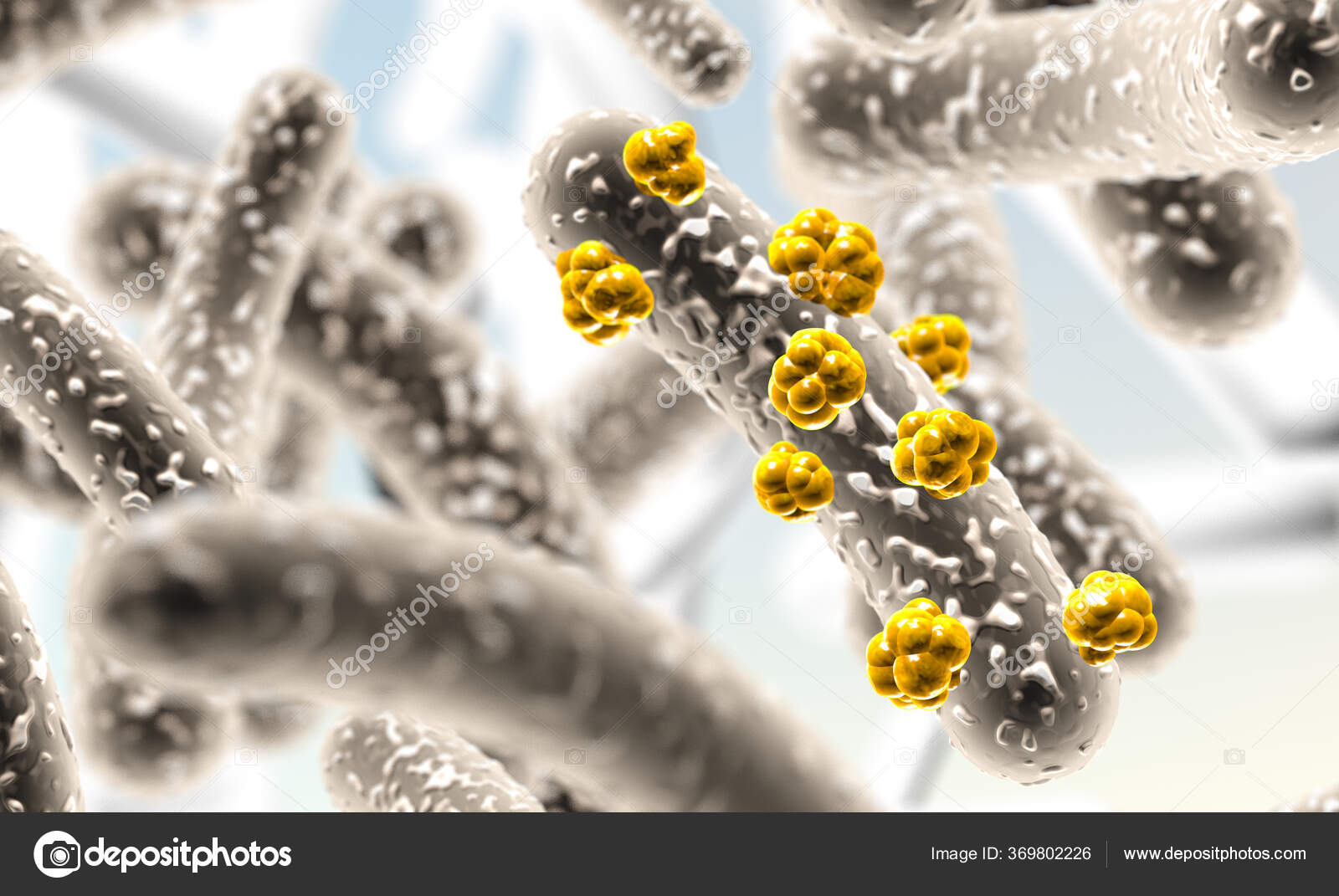 Microbacteria Bacterial Organisms Biology Science Background ...