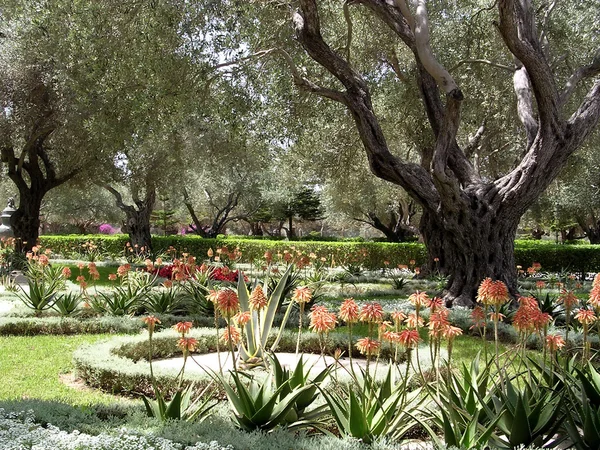 Qatar jardim Stock Photos, Royalty Free Qatar jardim Images | Depositphotos