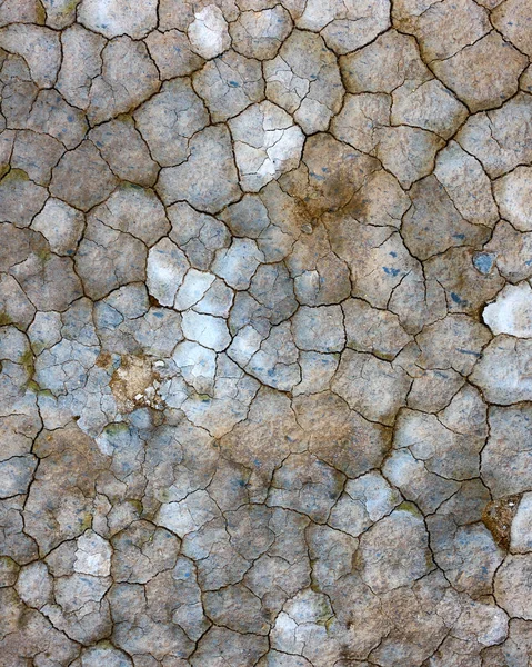 Land texture Images - Search Images on Everypixel