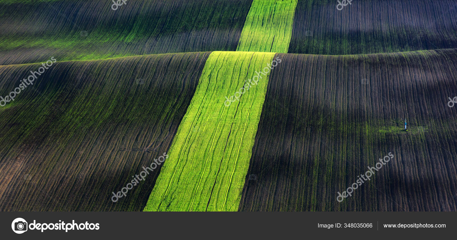 Green and brown waves of the agricultural fields — Stock Photo ...