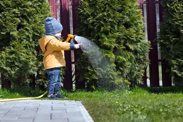 Riego arboles fotos de stock, imágenes de Riego arboles sin royalties ...