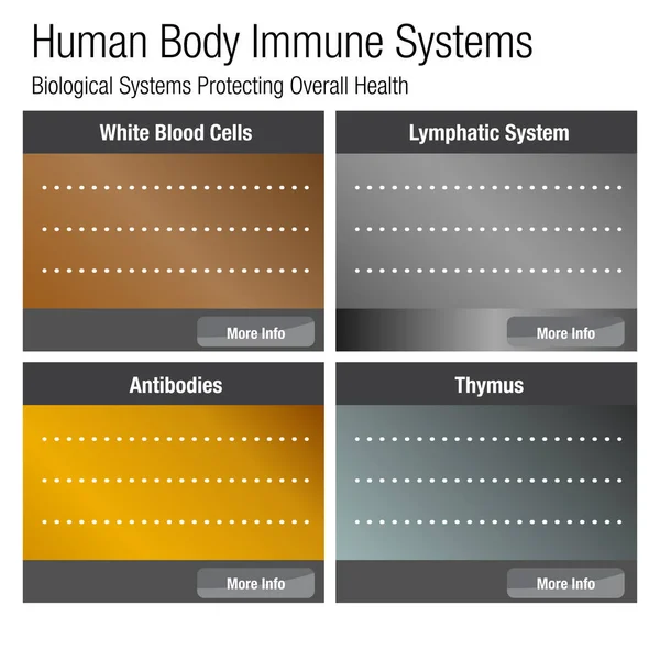 Human Body Immune Systems Chart Stock Vector by ©cteconsulting 11576644