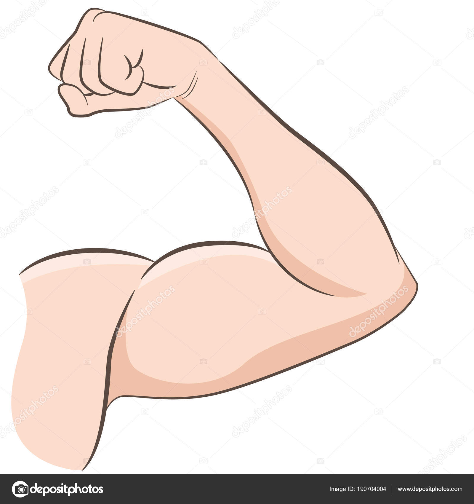 Muscular Arm Flexing Bicep Vector Illustration Download