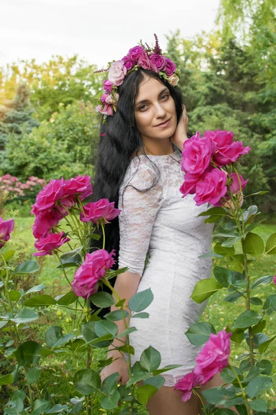 Uttrycksfulla kindben Stock Photos, Royalty Free Uttrycksfulla kindben ...