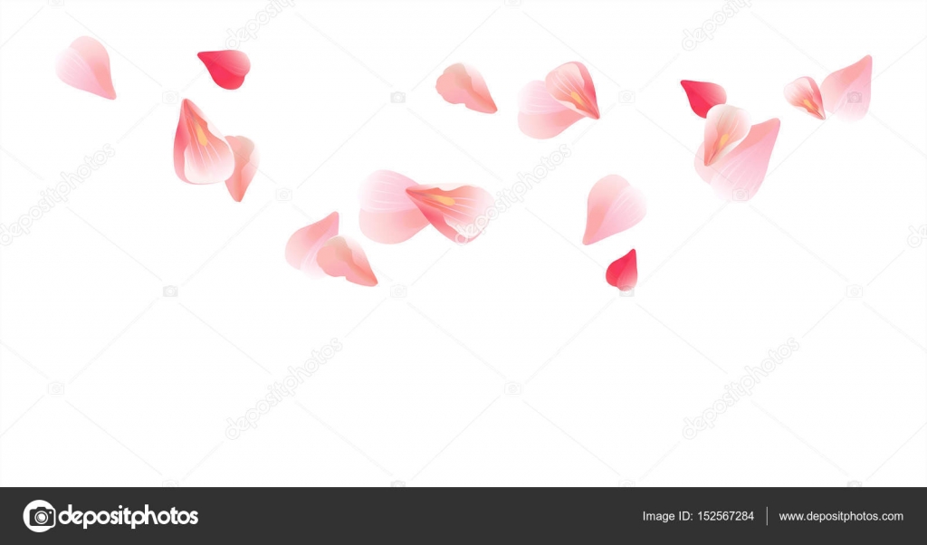 Petals design. Flower background. Petals Roses Flowers. Pink Sakura ...